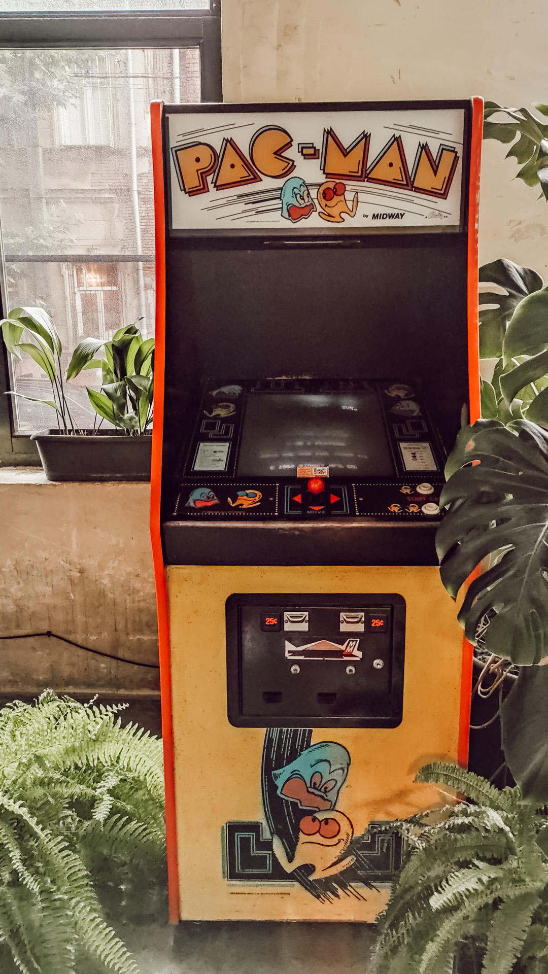 Rent your Pacman machine and earn money - Rentrax