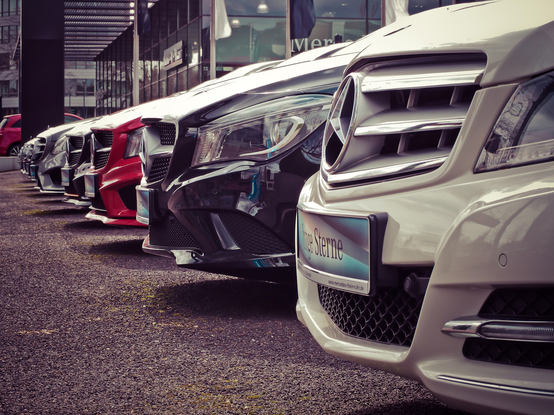 How to start a car renting business with no experience? - Rentrax